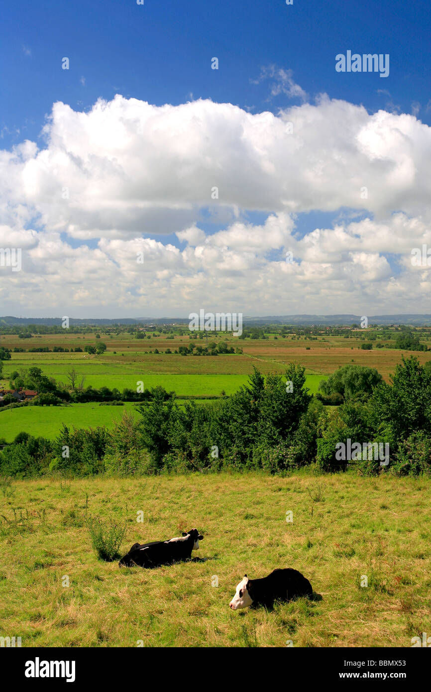 Landscape of the Somerset Levels Somerset County England UK Stock Photo ...