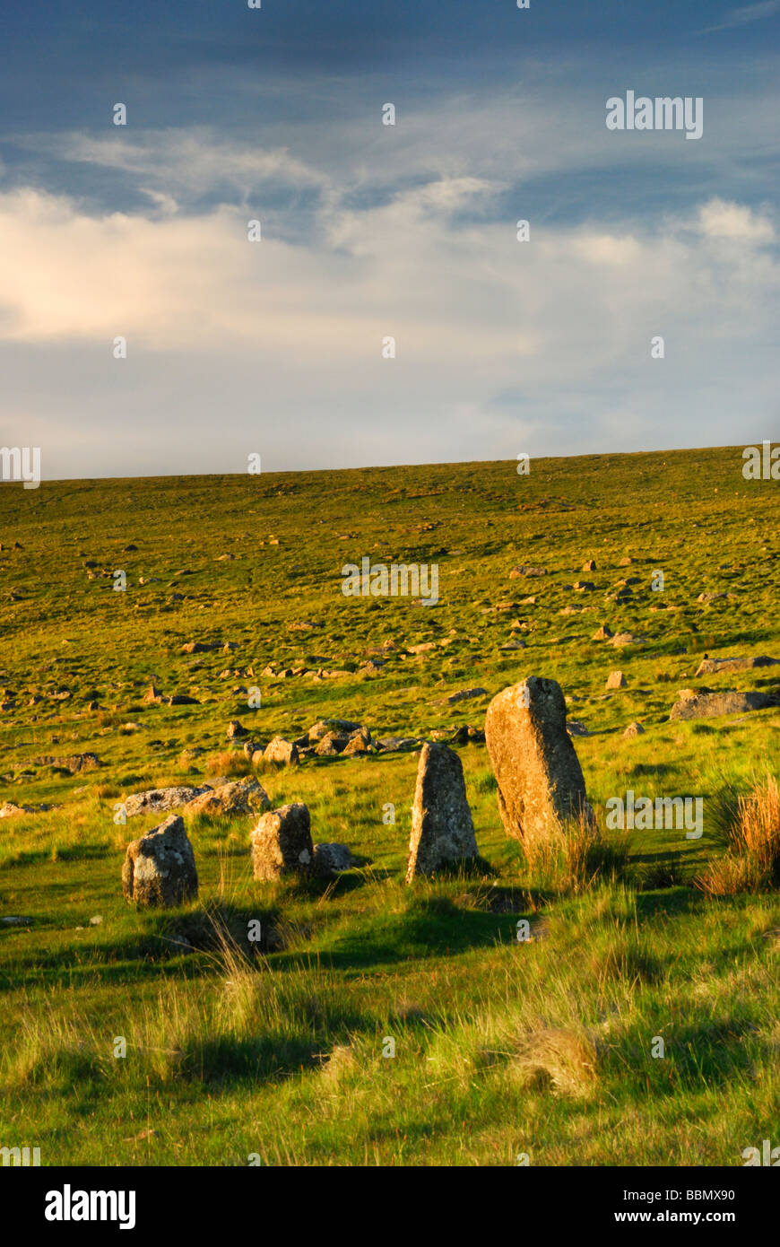 A section of the Merrivale stone rows Dartmoor National Park Devon ...