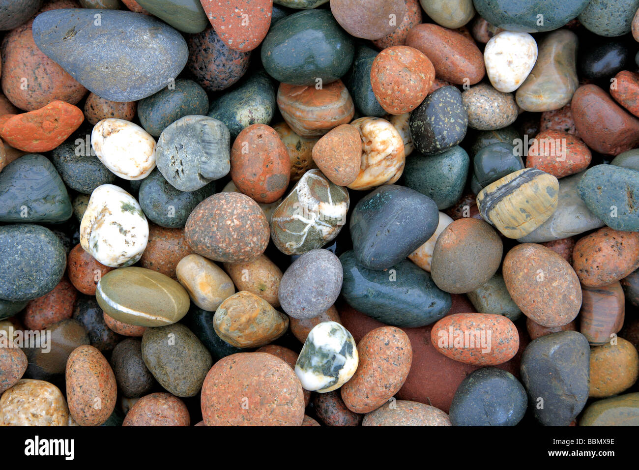 Colourfull Pebble Patterns on a beach Stock Photo - Alamy