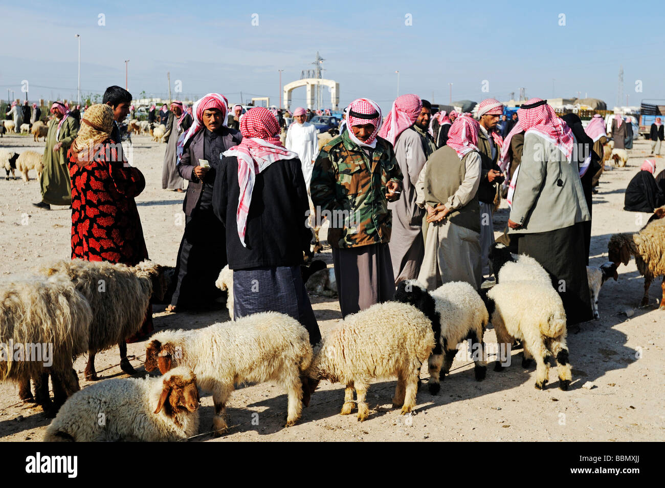 Men on a market for sheep and goats, Kafseh, Syria, Asia Stock Photo ...