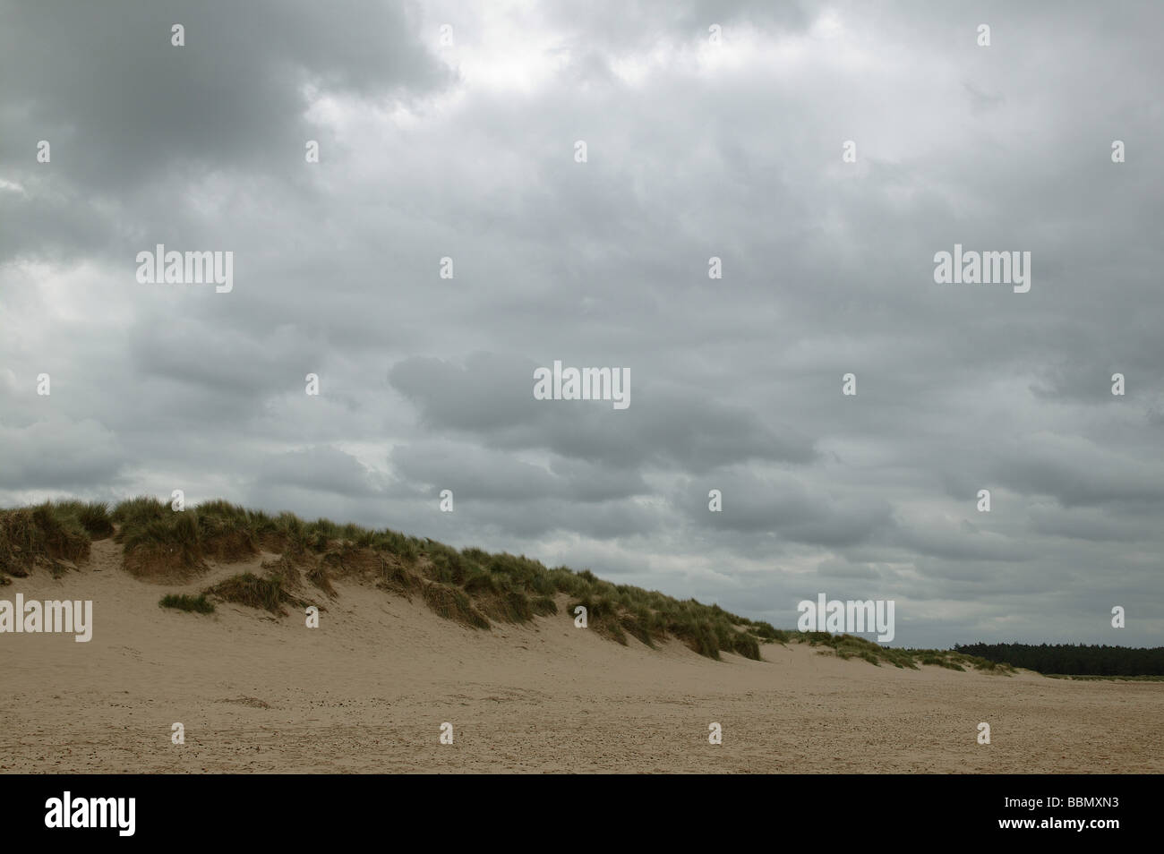 Sand dunes on holkham beach hi-res stock photography and images - Alamy