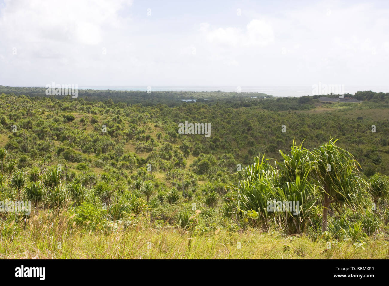 Yap island hi-res stock photography and images - Alamy