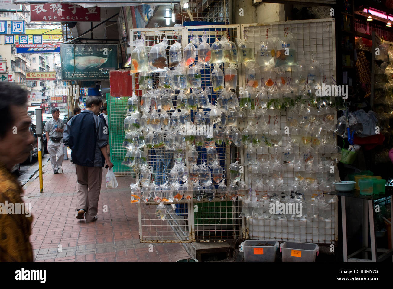 Fish hanging outside a store at Goldfish market in Hong Kong Stock ...