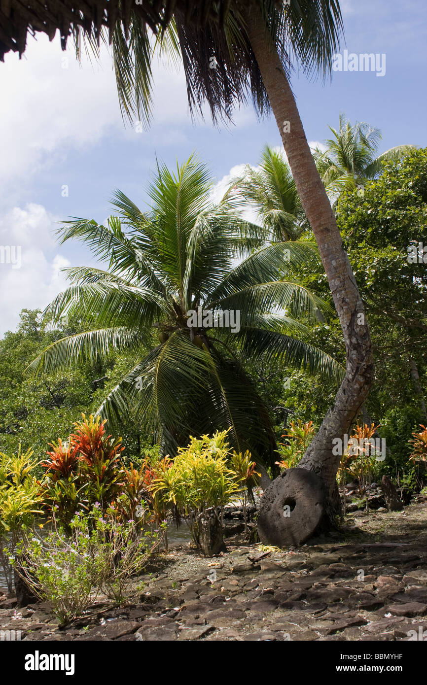 Stone money underneath a palm tree. On the island of Yap, Micronesia ...