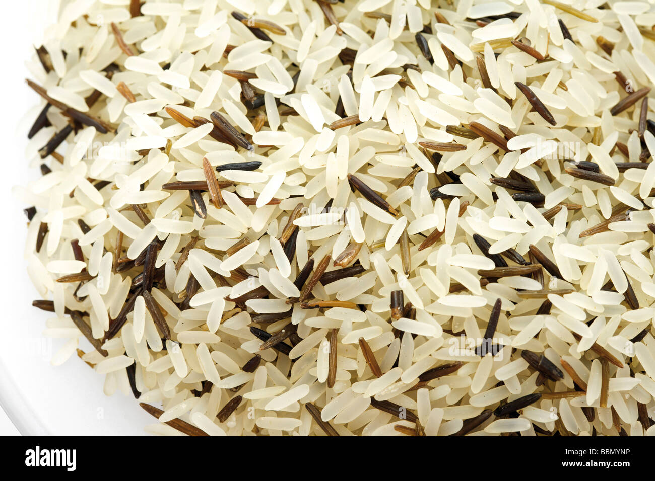 Wild long grain rice Stock Photo - Alamy