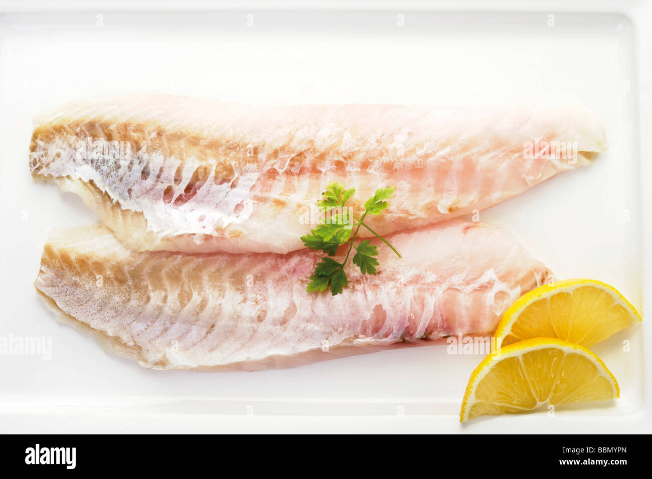 Redfish Fillet High Resolution Stock Photography and Images - Alamy