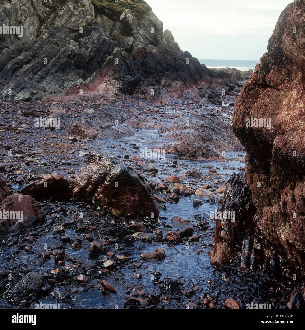 Oil covering an inlet at Freshwater West Pembrokeshire following Sea ...