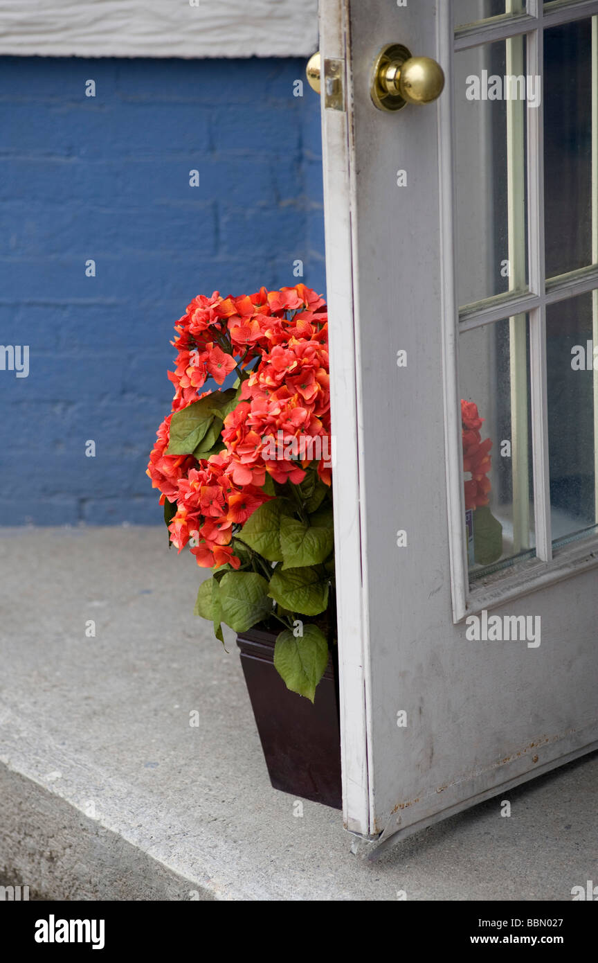 Potted hydrangea propping a door open hi-res stock photography and ...