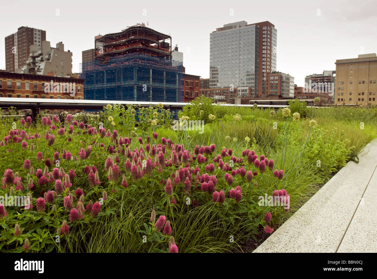 The new High Line Park in the New York neighborhood of Chelsea is seen ...