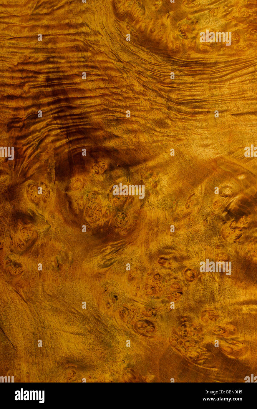 Walnut wood textures hi-res stock photography and images - Alamy