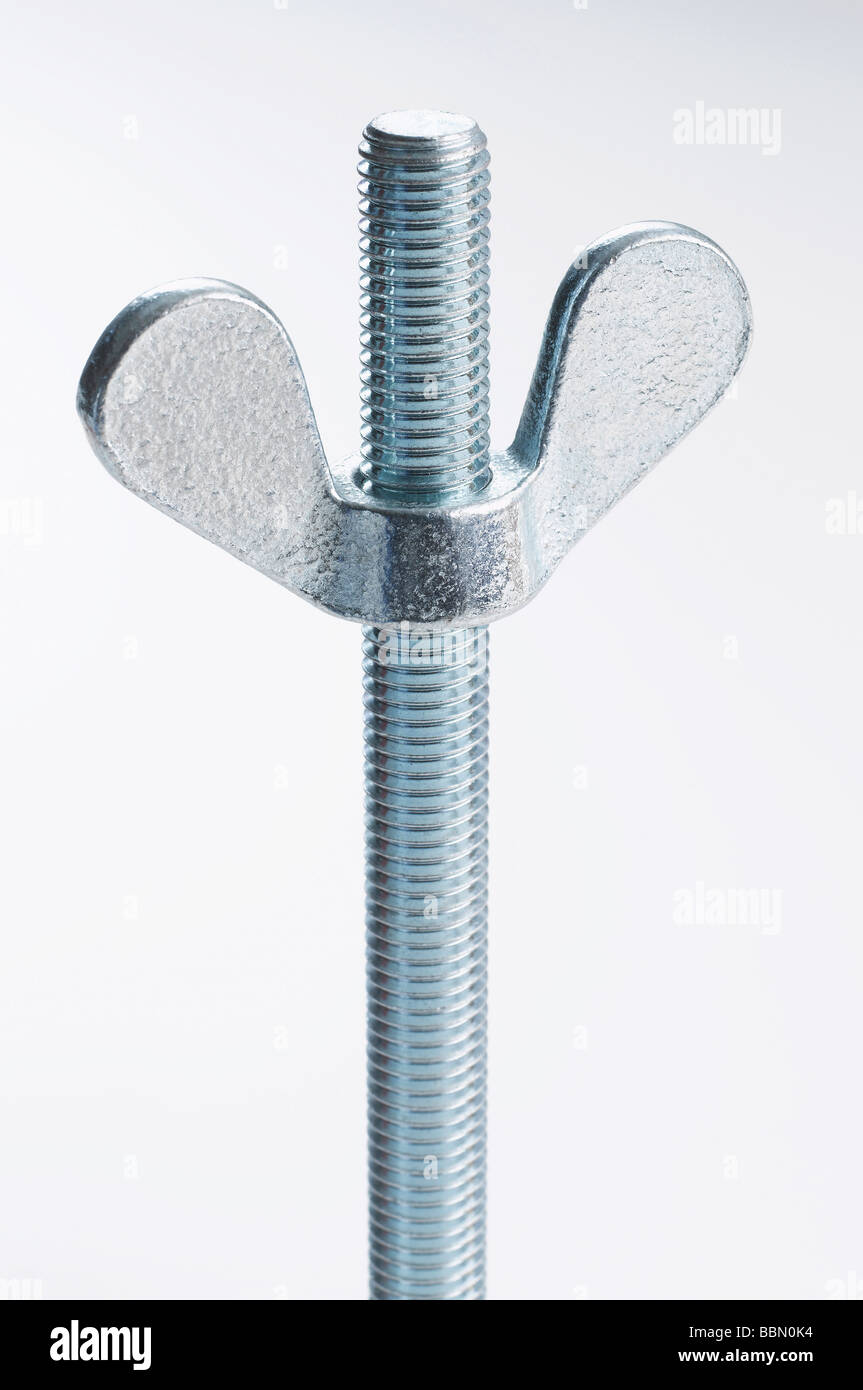 Wing screw, close-up Stock Photo - Alamy