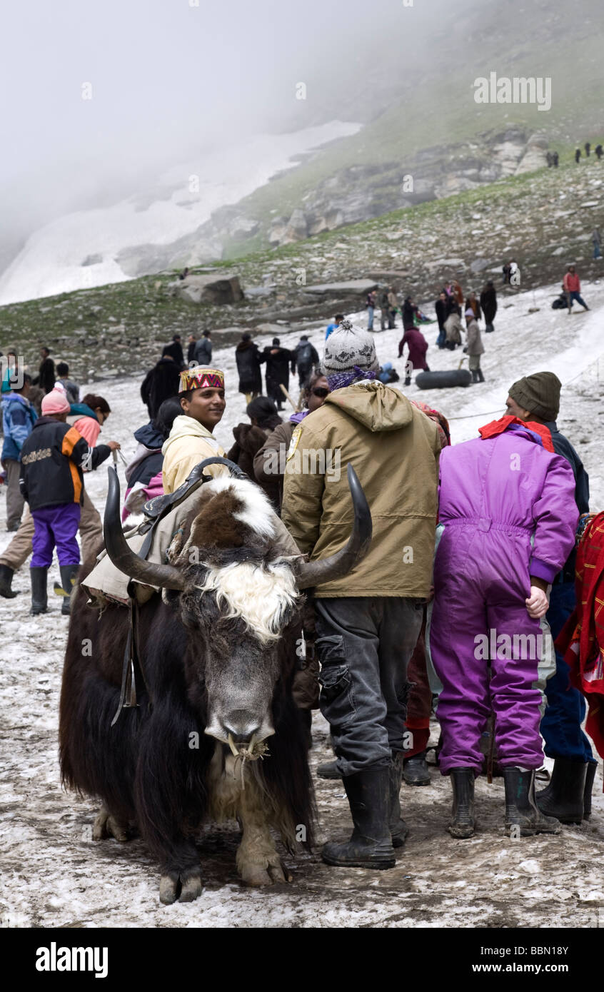 Indian tourists and yak at Rohtang Pass.Manali-Leh road.Himachal ...