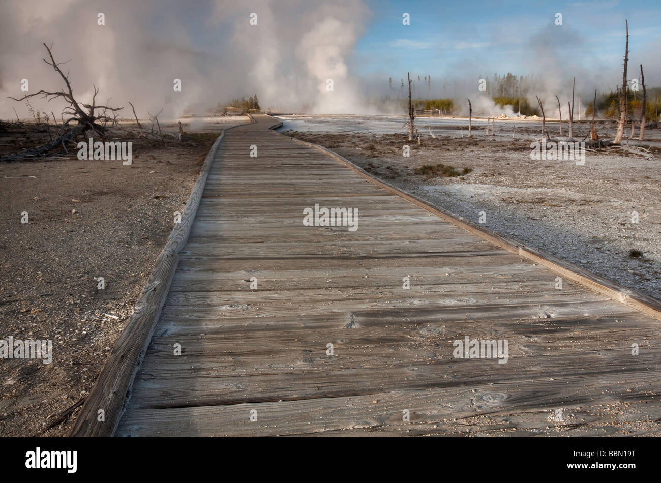 Norris Geyser Basin boardwalk Stock Photo - Alamy