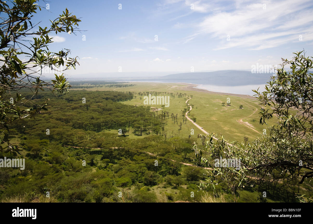 Kenya landscape with animals hi-res stock photography and images - Alamy