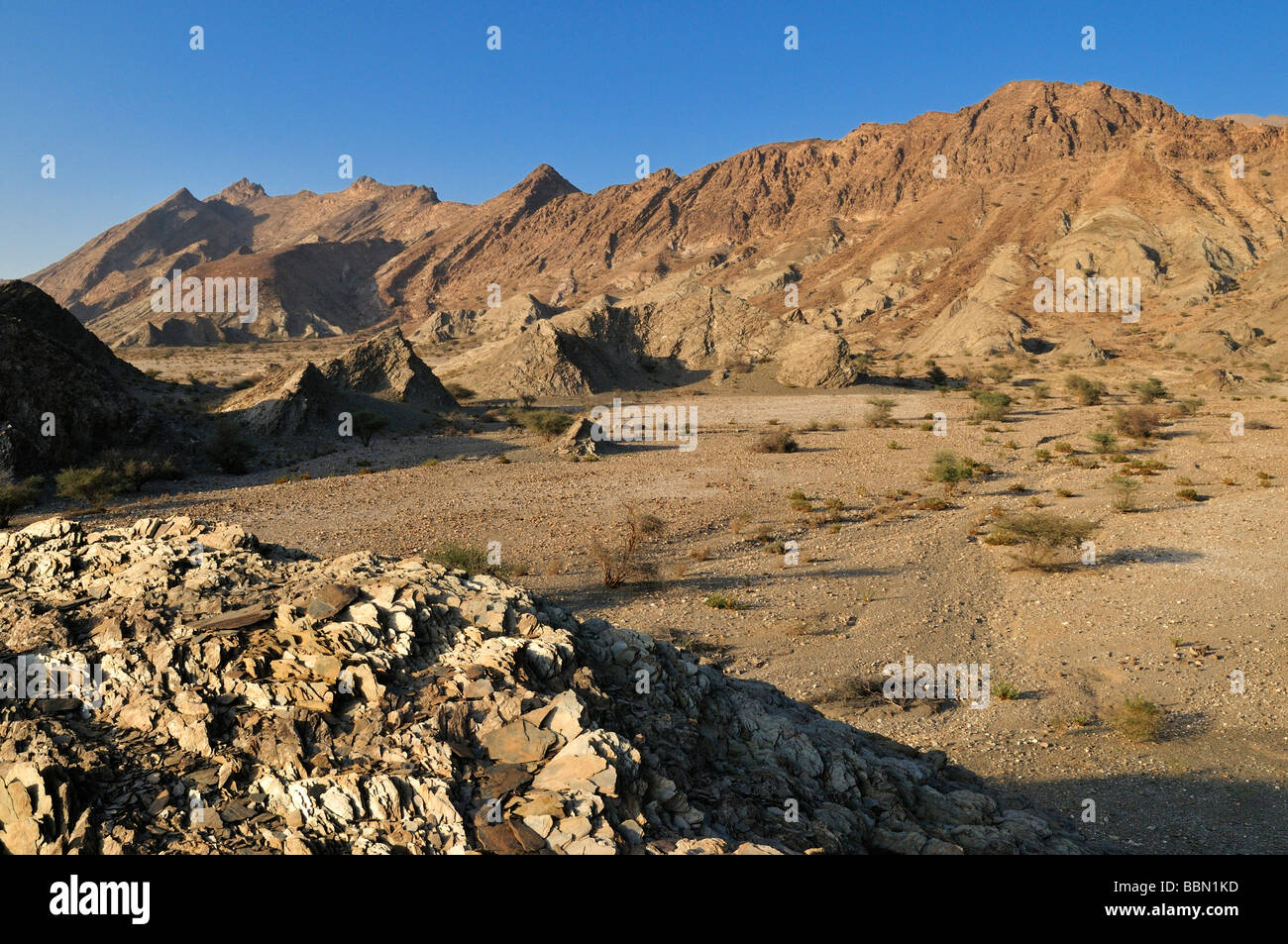 Sharqi Stock Photos & Sharqi Stock Images - Alamy