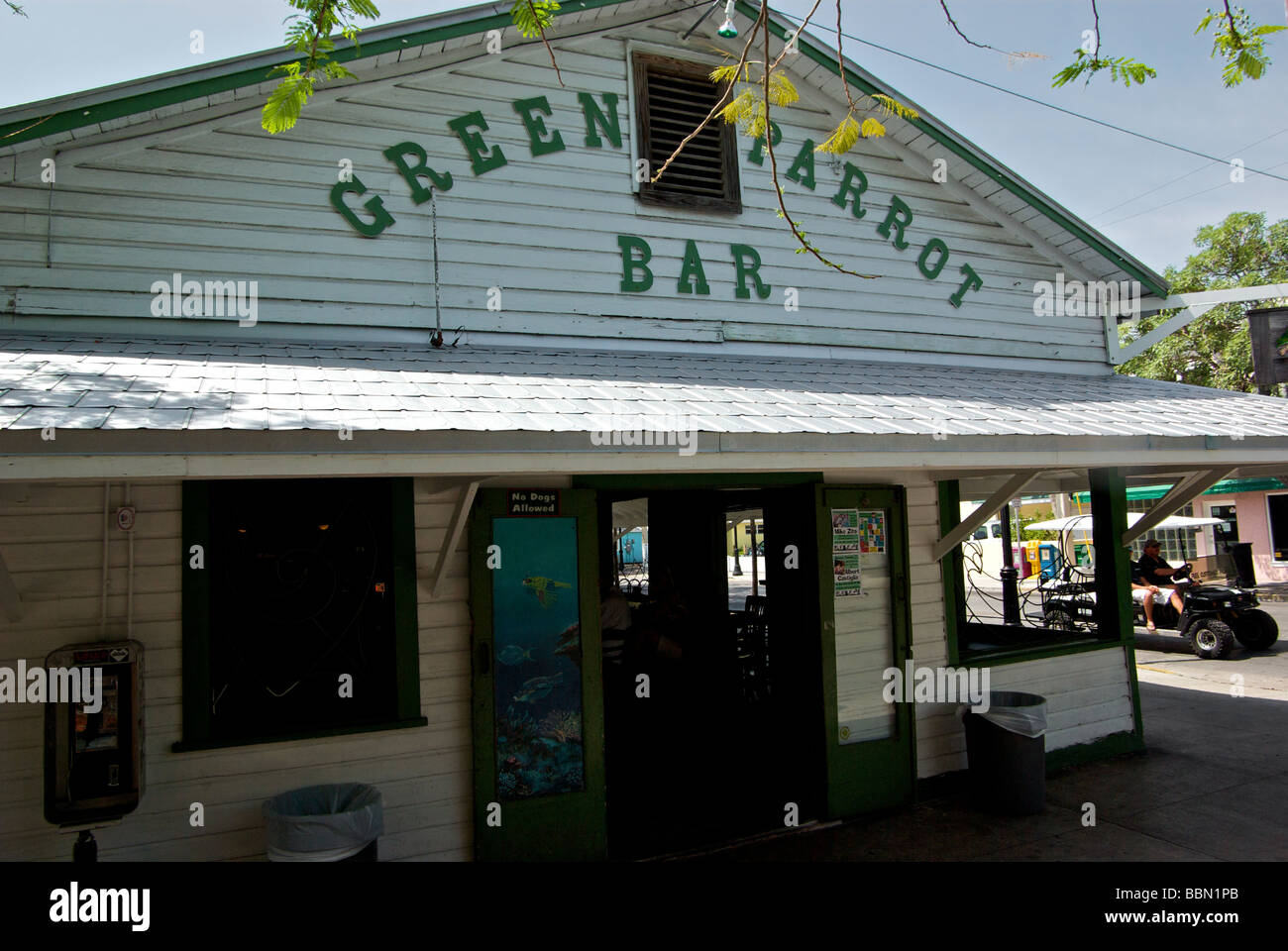 Green Parrot Bar
