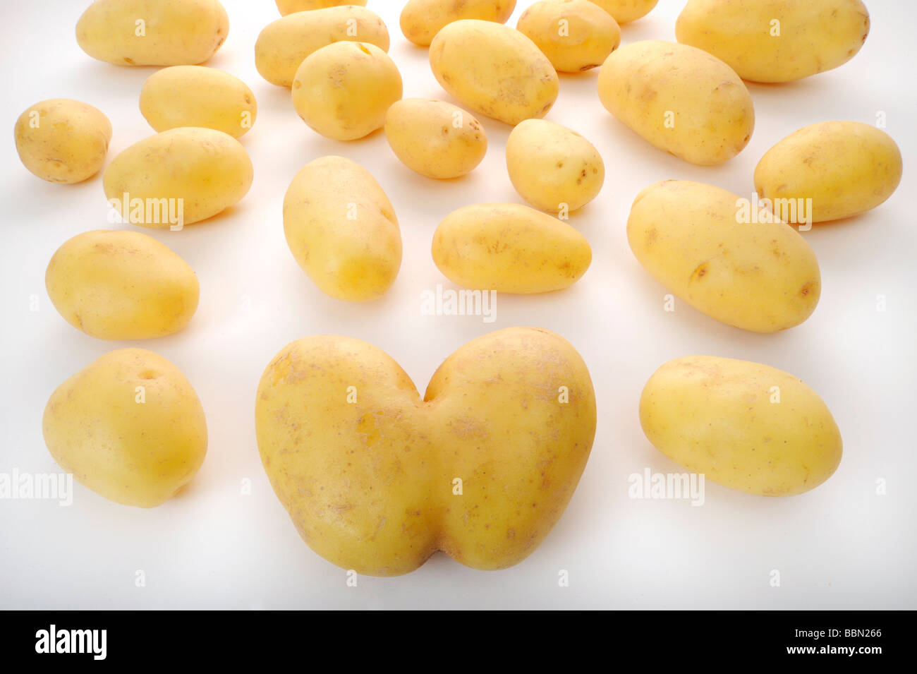 Potato shapes hi-res stock photography and images - Alamy