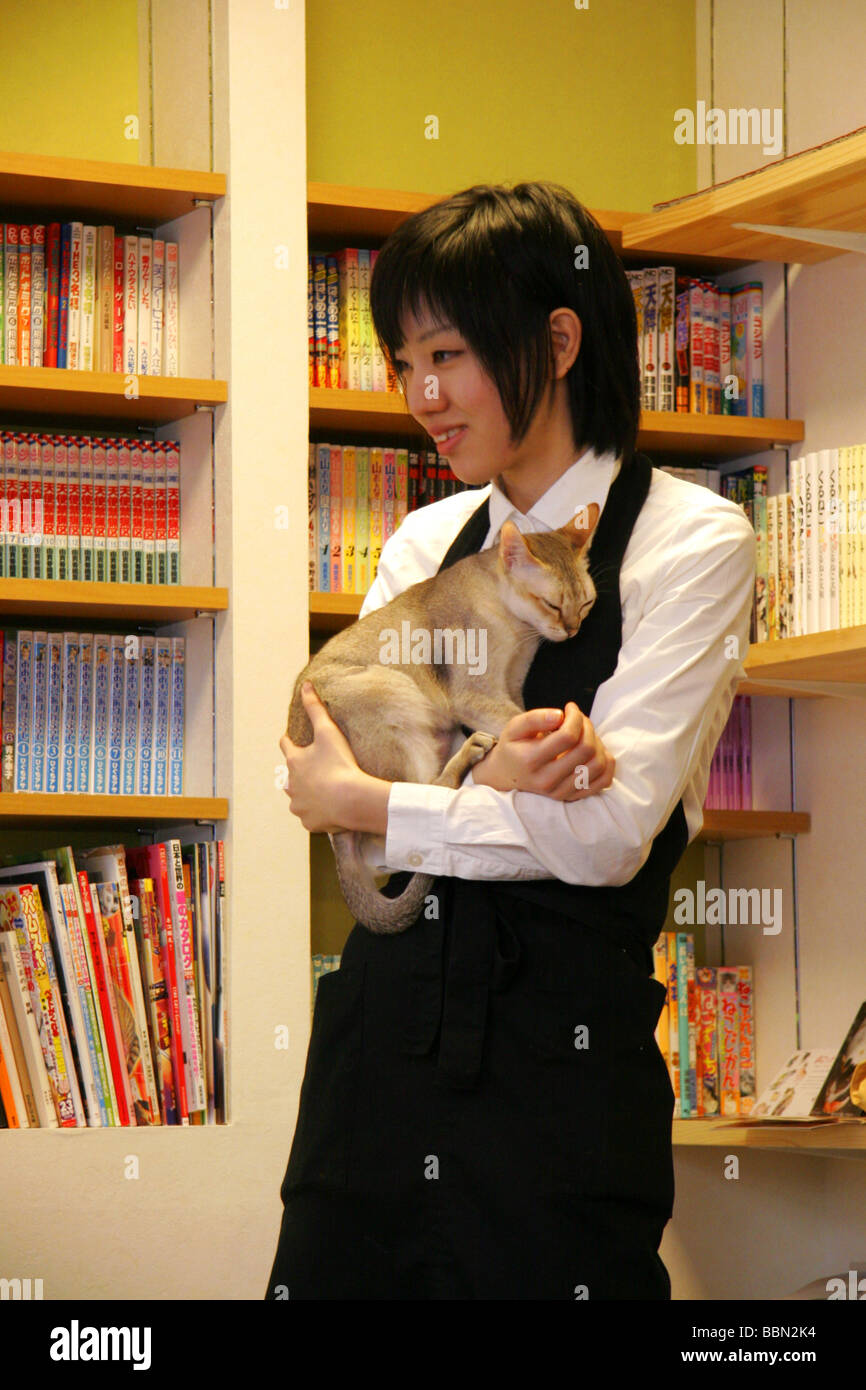 Staff member holding a cat at a cat cafe in Tokyo Japan Stock Photo - Alamy