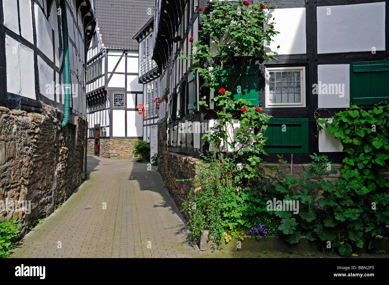 Half the frame hi-res stock photography and images - Alamy