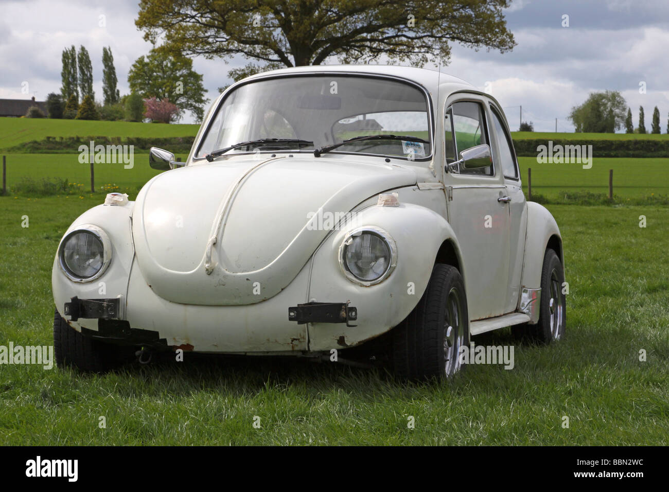 White VW Beetle in a field Stock Photo - Alamy
