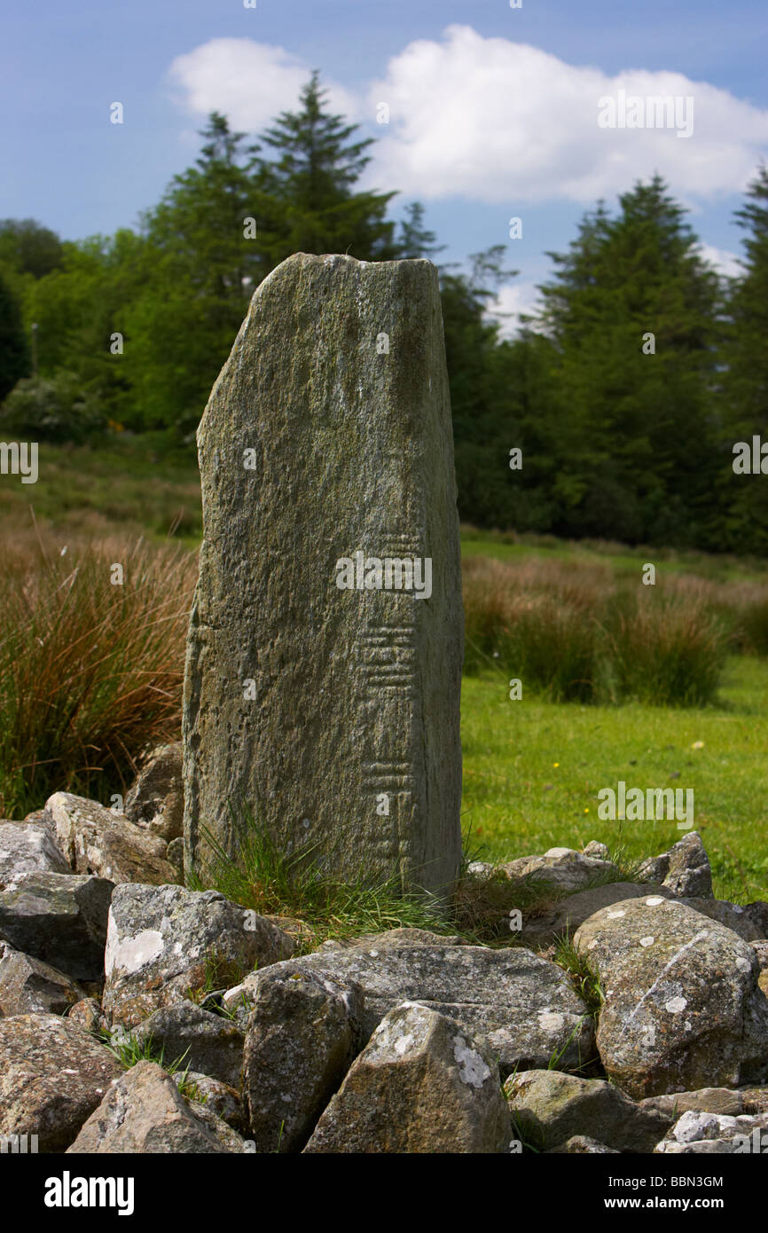 Aghascrebagh Ogham Stone county tyrone northern ireland uk this is the ...