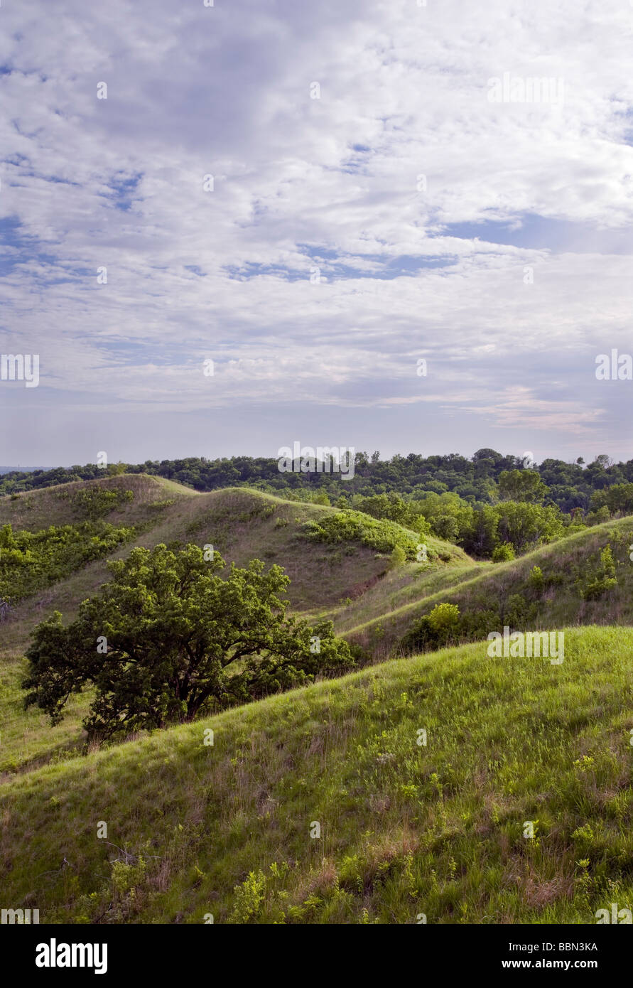 Loess area hi-res stock photography and images - Alamy