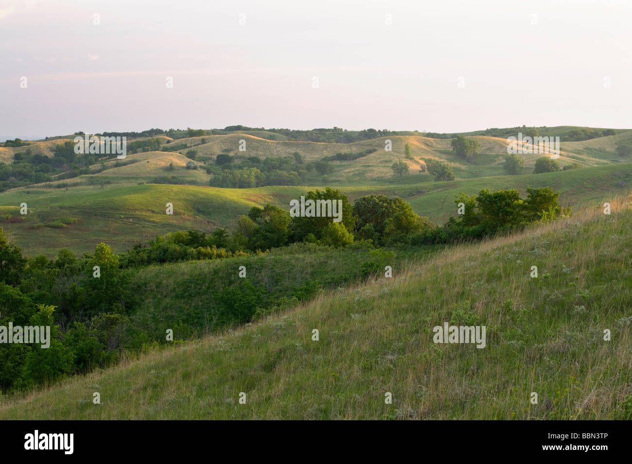 Loess Hills, Broken Kettle Grasslands (a preserve of The Nature ...