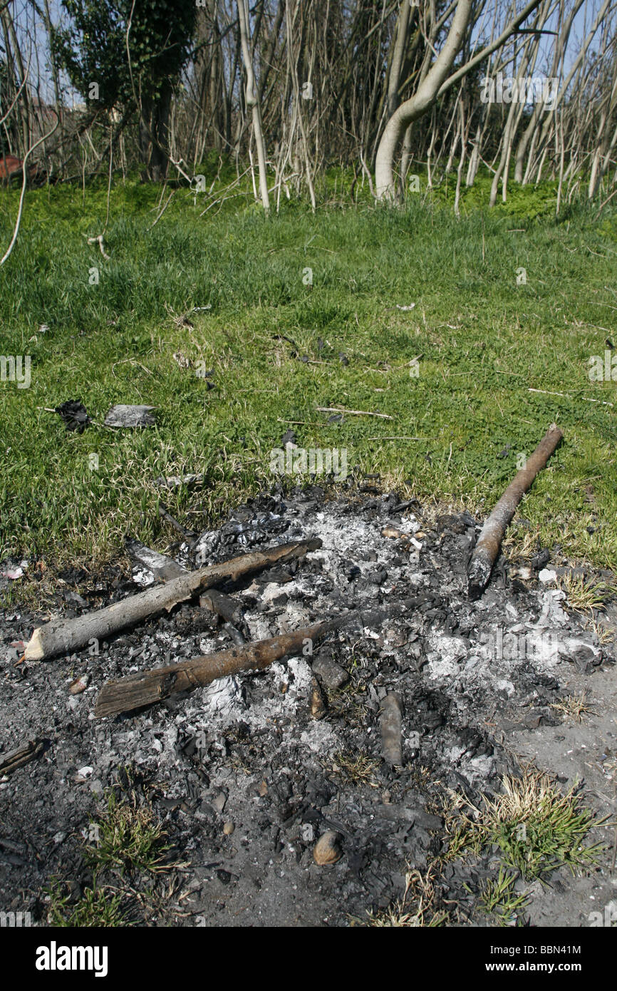 old camp fire in field in woods in countryside Stock Photo - Alamy