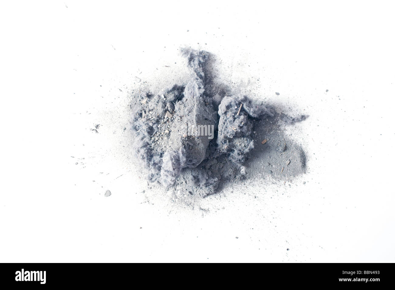 House dust from vacuum cleaner bag Stock Photo - Alamy