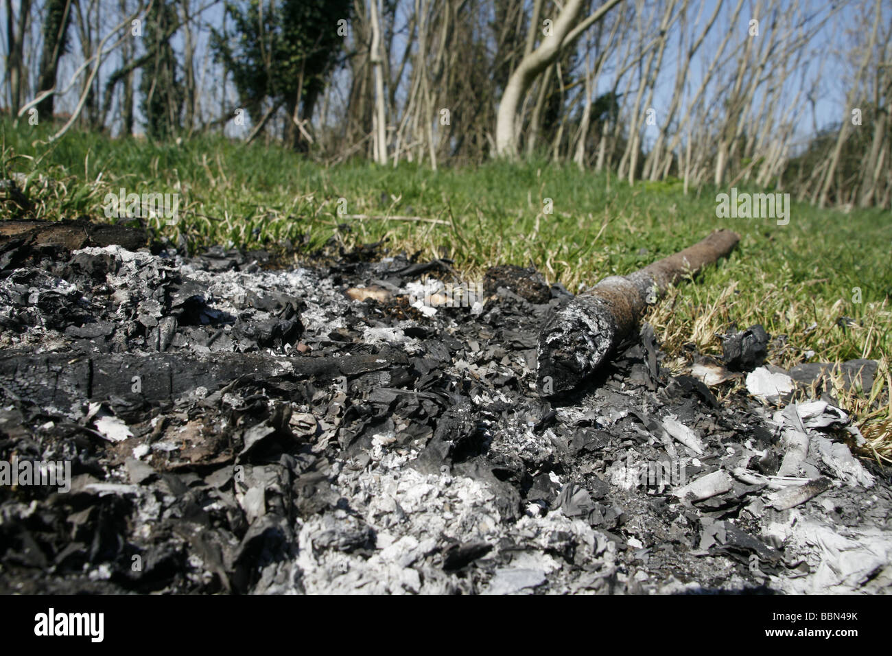 old camp fire in field in woods in countryside Stock Photo - Alamy