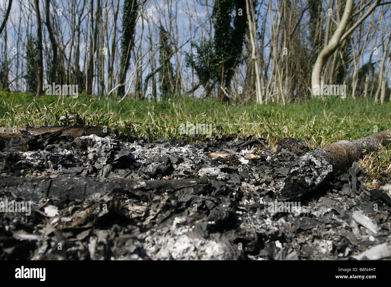 old camp fire in field in woods in countryside Stock Photo - Alamy
