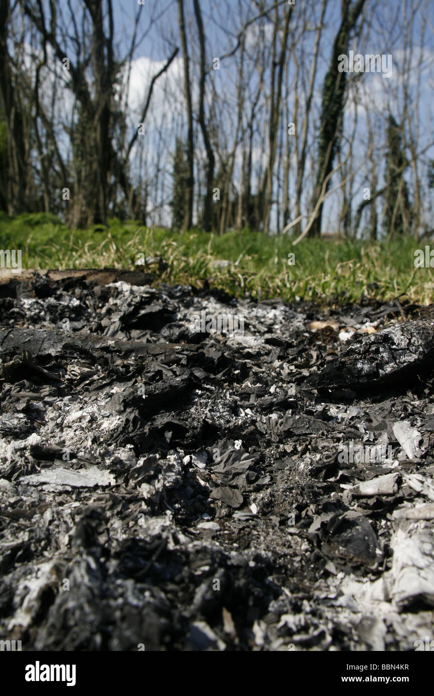 old camp fire in field in woods in countryside Stock Photo - Alamy