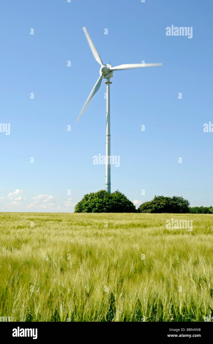 Single wind turbine, grainfield, Moehnesee lake, Kreis Soest, North ...