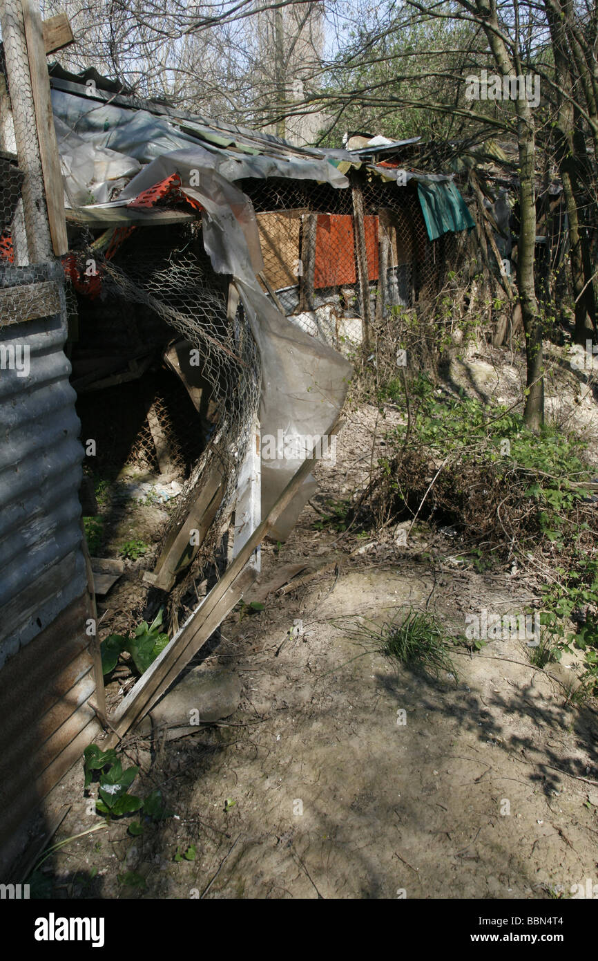 ramshackle makeshift huts in woods in countryside Stock Photo - Alamy
