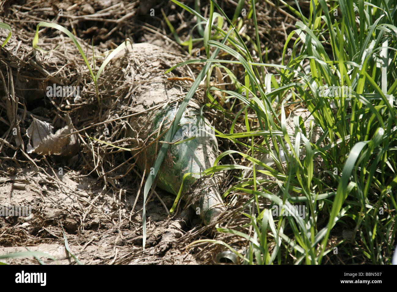 Bottle in mud hi-res stock photography and images - Alamy