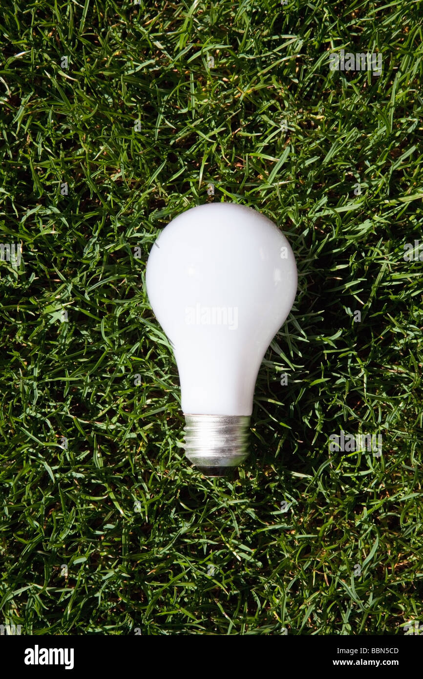Incandescent light bulb laying on green grass Stock Photo - Alamy
