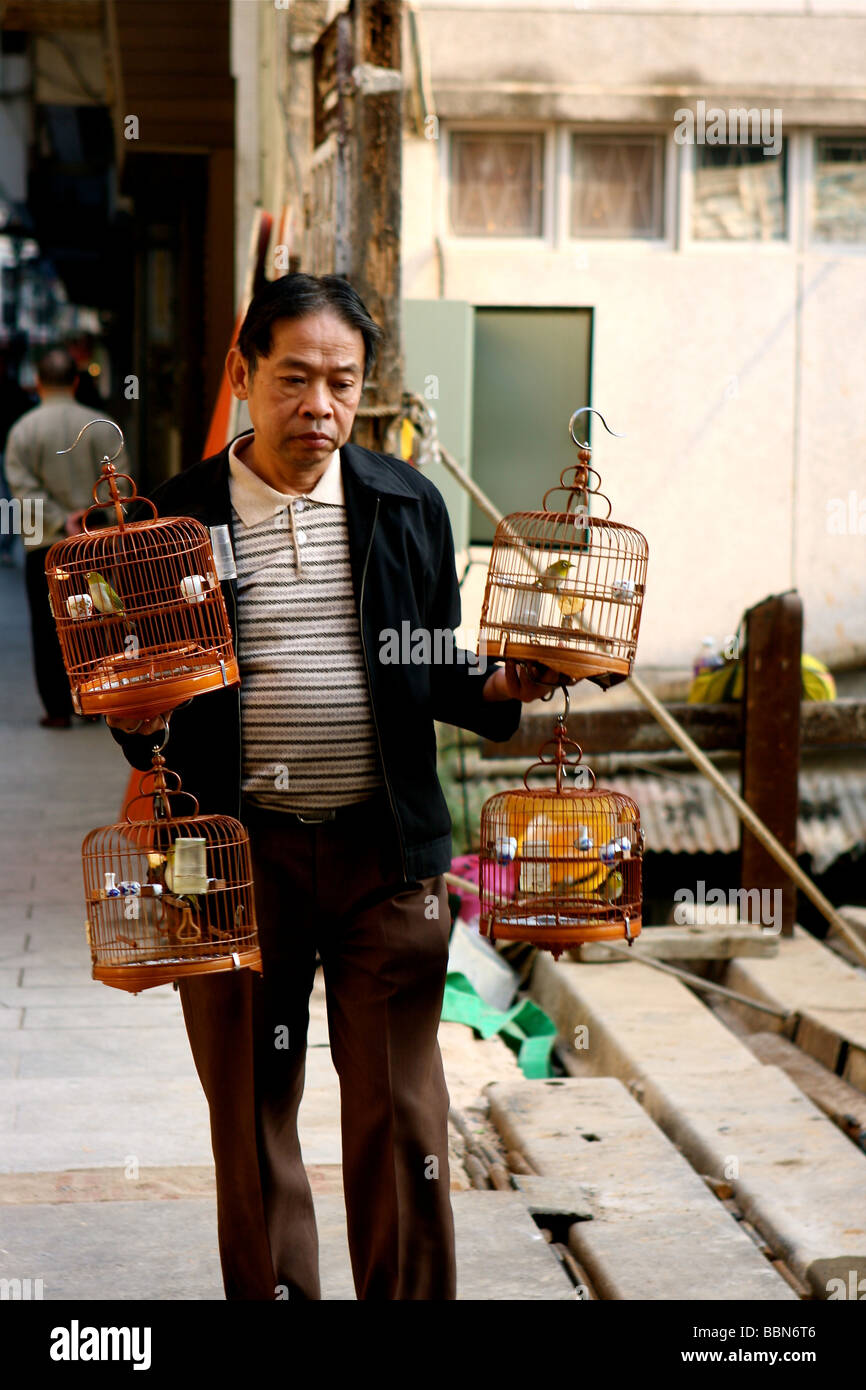 man walking with his birds in cages Stock Photo - Alamy