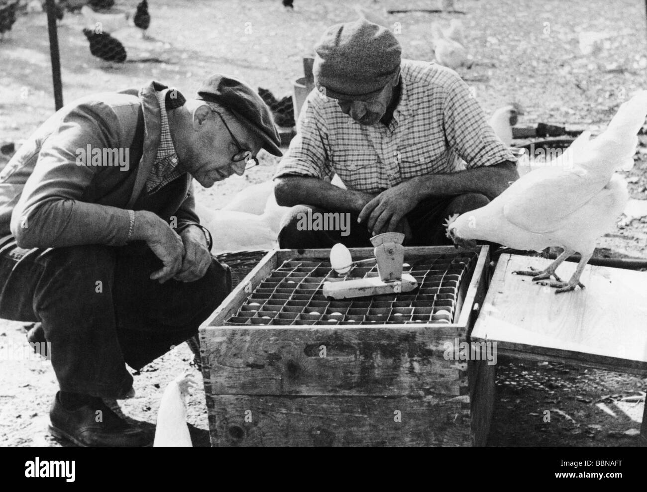 All men are animals hi-res stock photography and images - Alamy