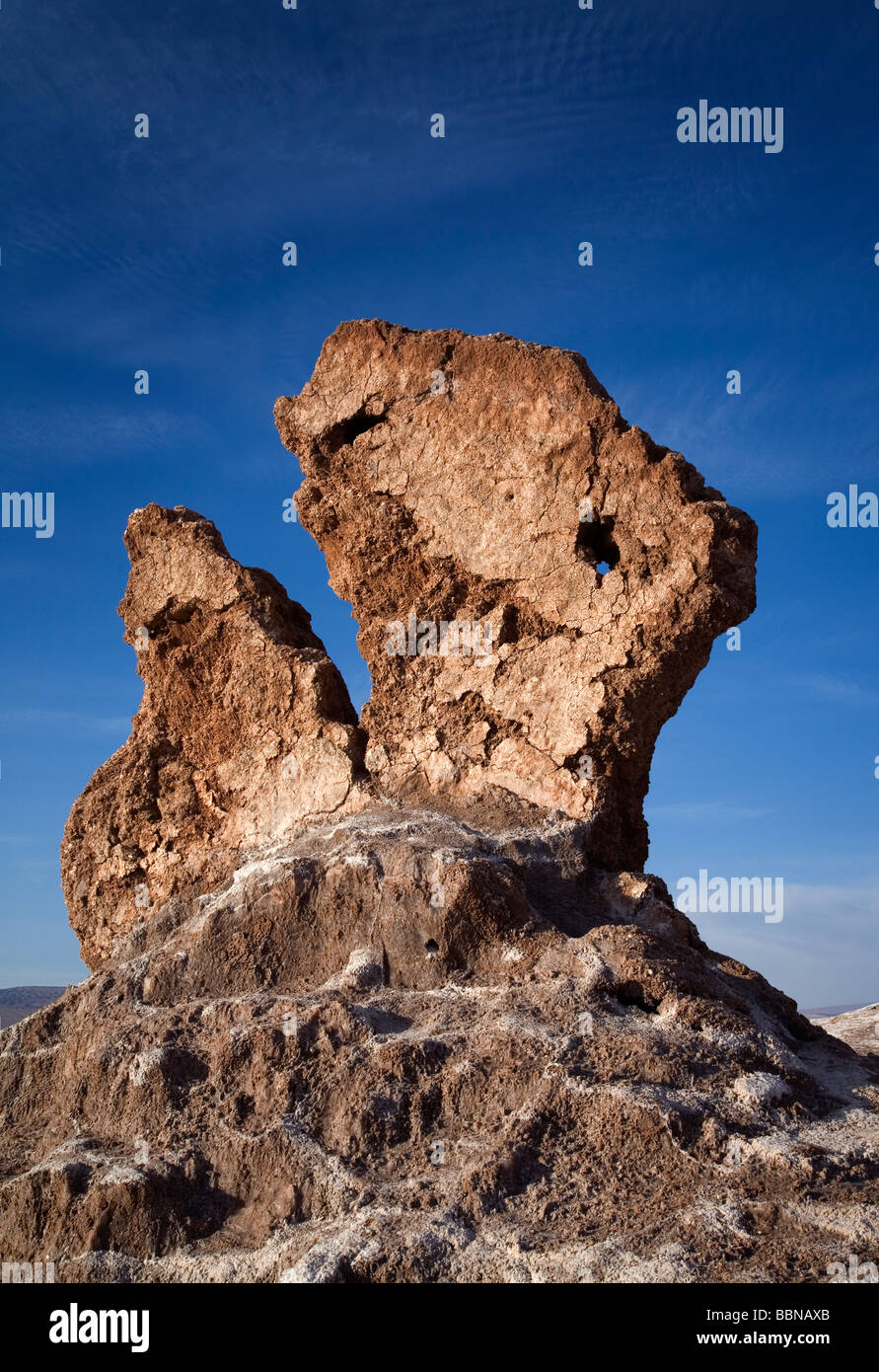 Dinosaur Head Rock Formation, Valley of the Moon, Atacama Desert, Chile ...