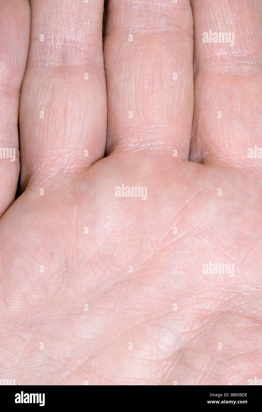 Hand palm lines hi-res stock photography and images - Alamy