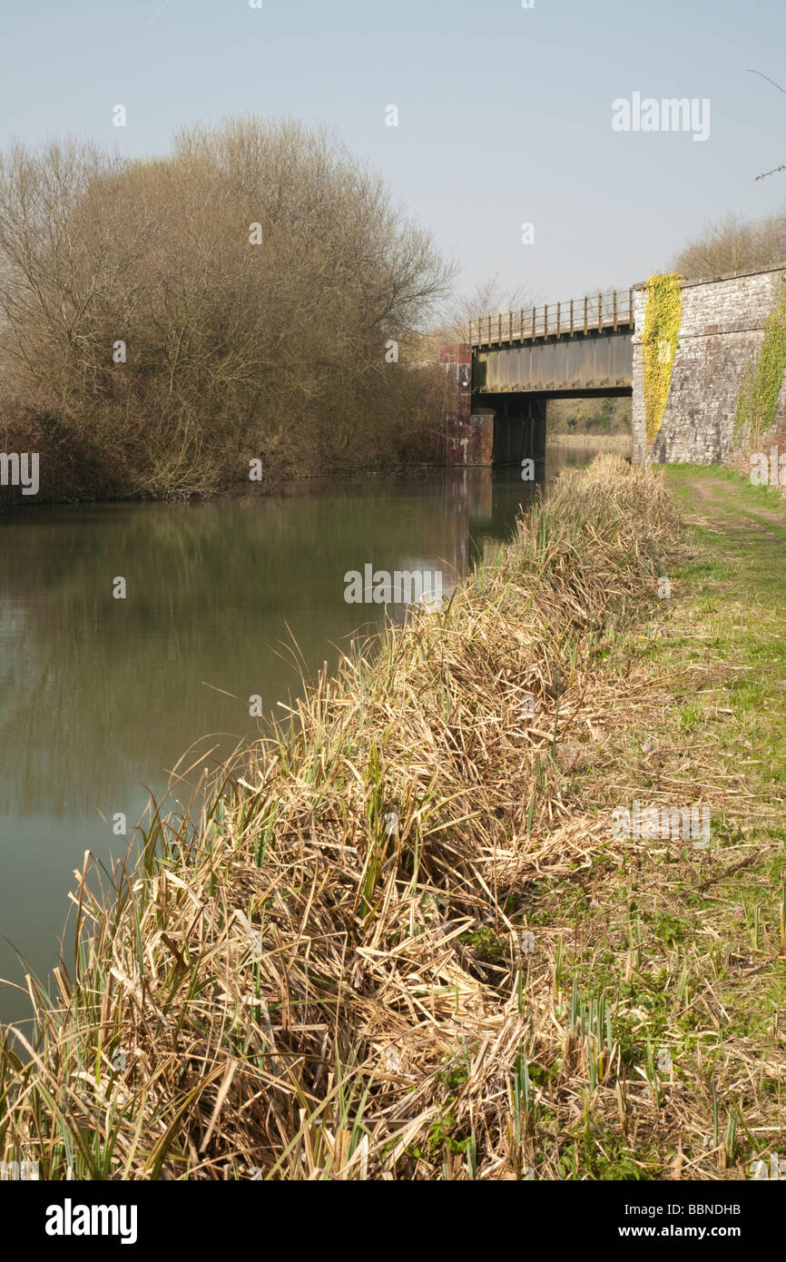 Avon valley railway hi-res stock photography and images - Alamy