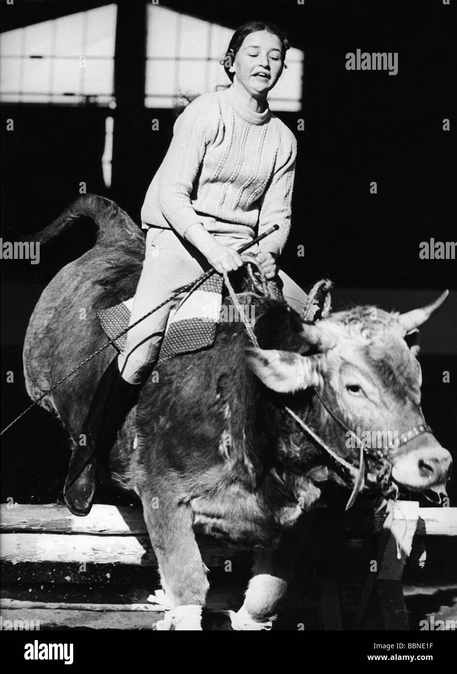 Woman riding bull hi-res stock photography and images - Alamy