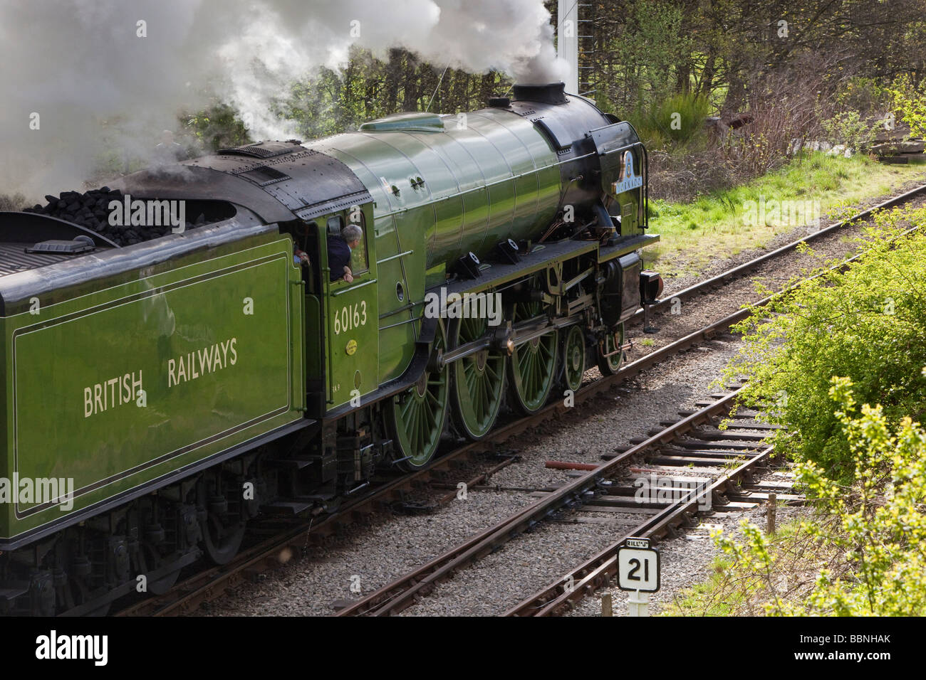 Tornado Steam Engine A1 Steam Locomotive Trust Peppercorn Class A1 ...
