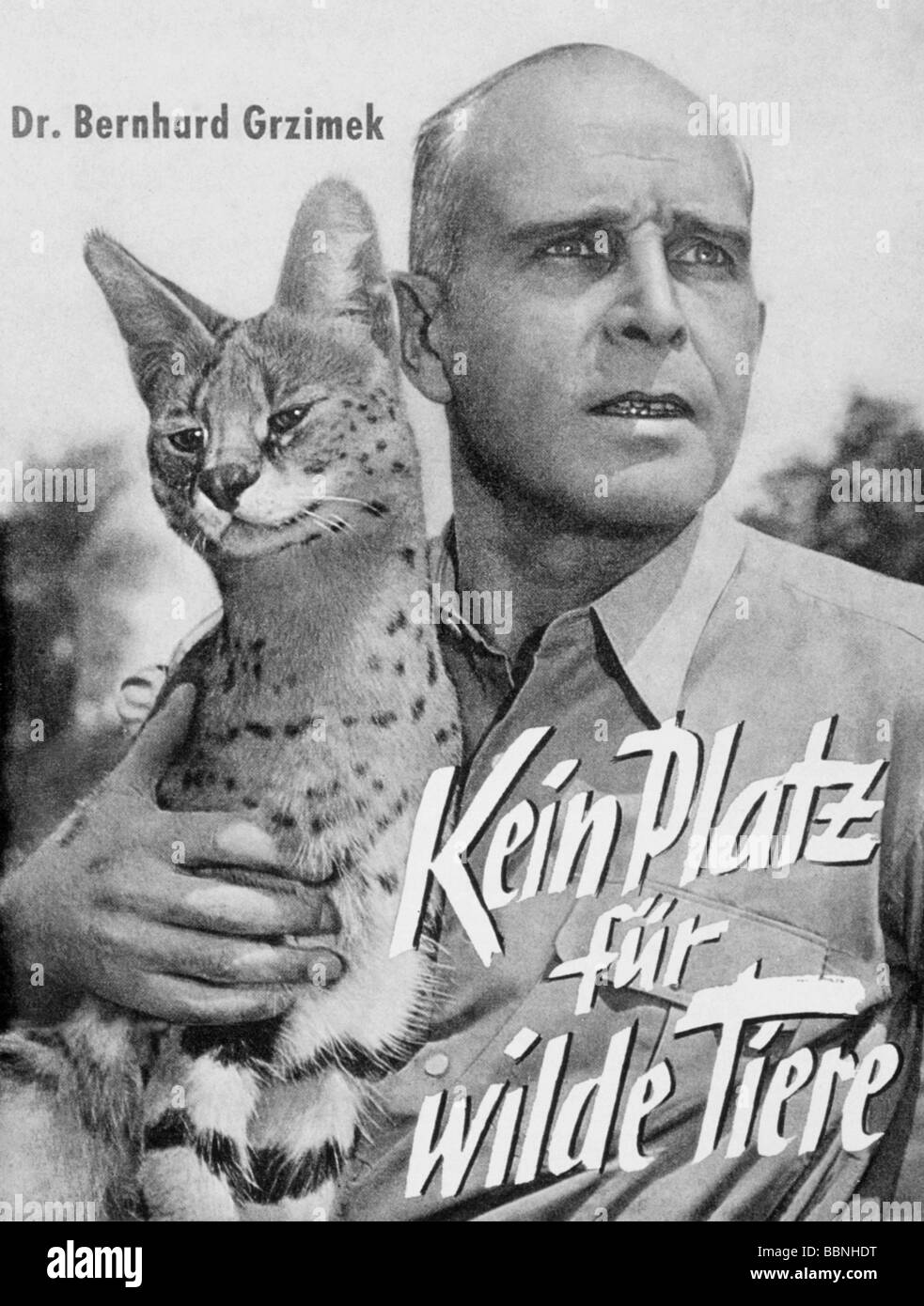 Kein platz fuer wilde tiere hi-res stock photography and images - Alamy