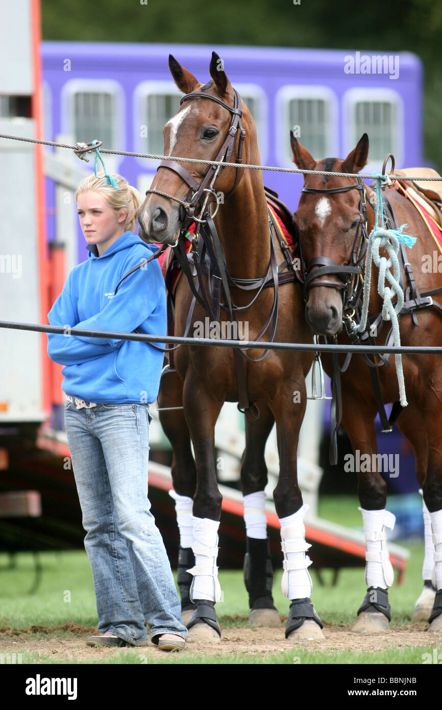 Polo pony lines hi-res stock photography and images - Alamy