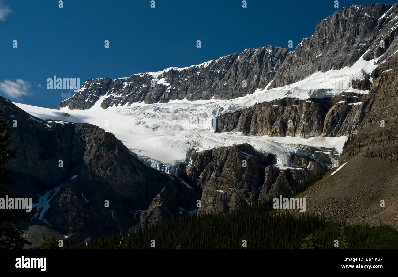 Crows foot hi-res stock photography and images - Alamy