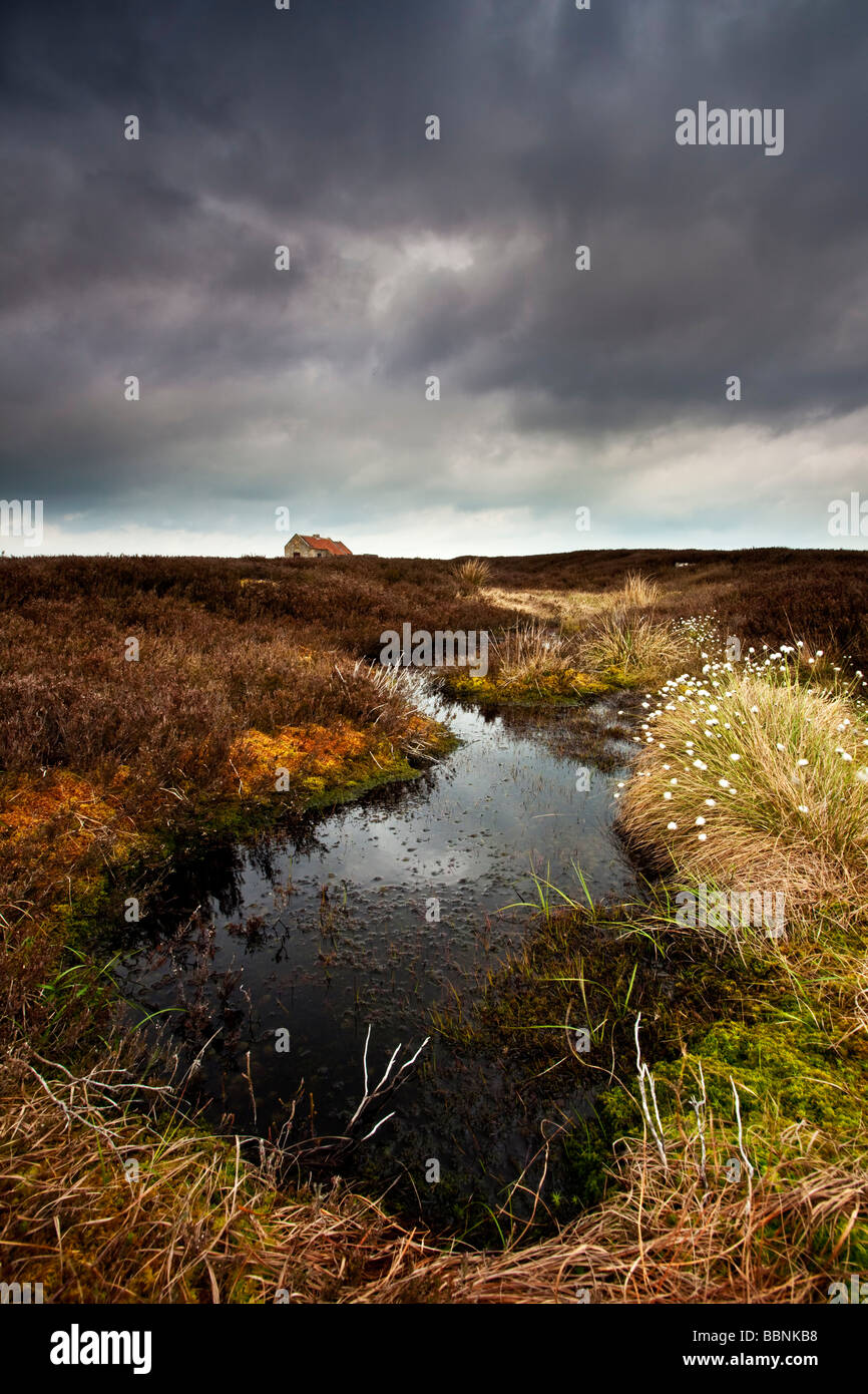 Lodge moor hi-res stock photography and images - Alamy
