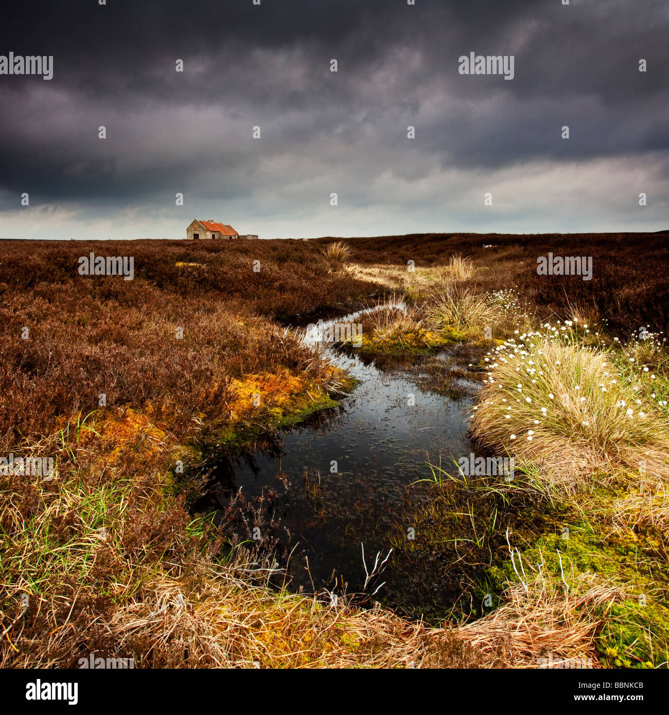 Yorkshire moors house hi-res stock photography and images - Alamy