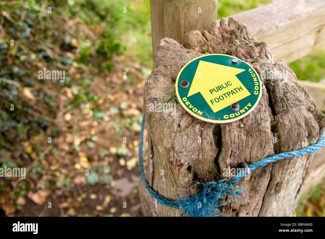 Chulmleigh Devon England UK Stock Photo - Alamy