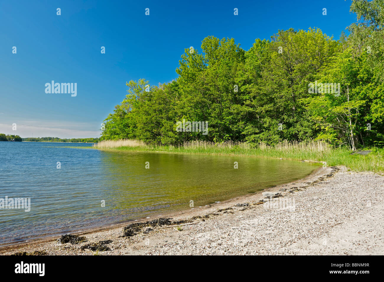 Rorvik strand hi-res stock photography and images - Alamy